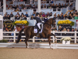 Calendar of Events - Devon Horse Show