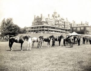 History - Devon Horse Show