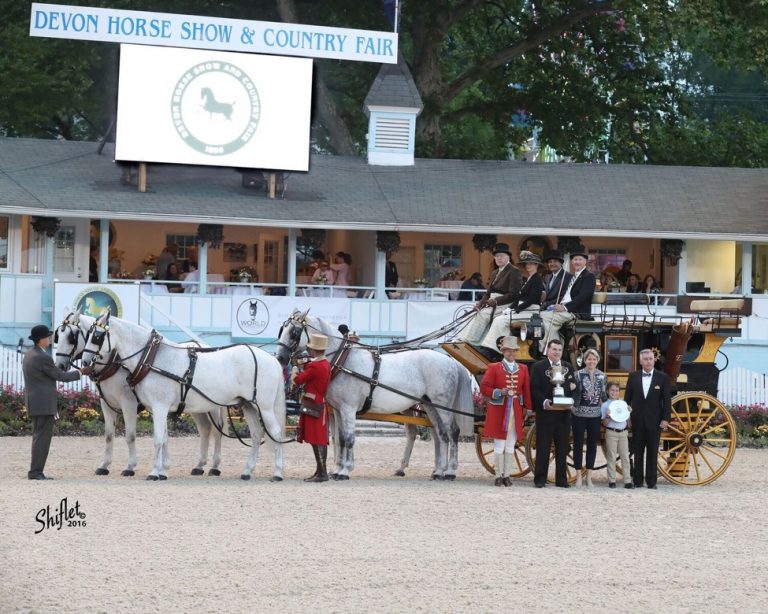 Equestrian Disciplines - Devon Horse Show